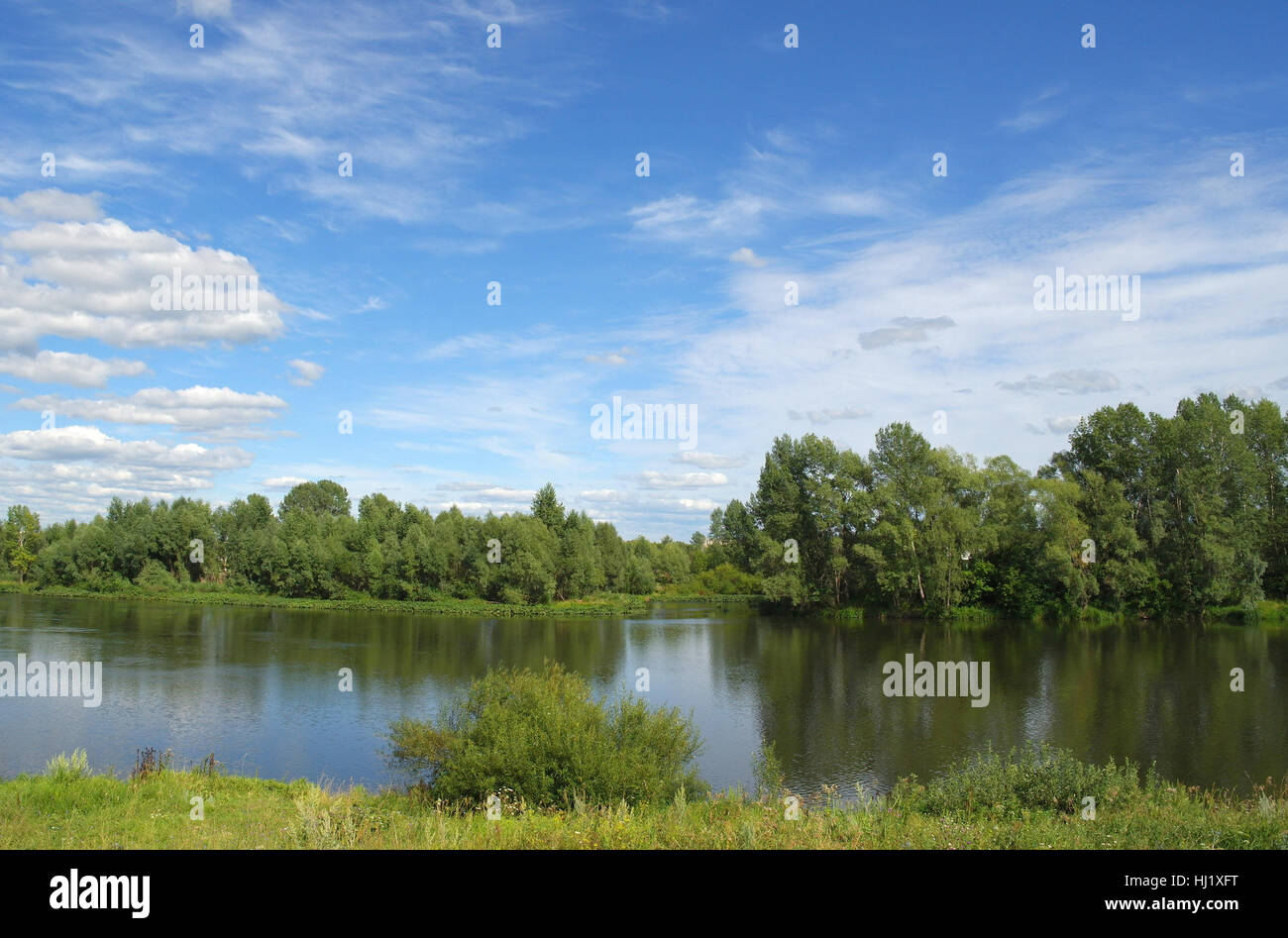 blue, leaf, travel, tree, park, wood, shine, shines, bright, lucent ...