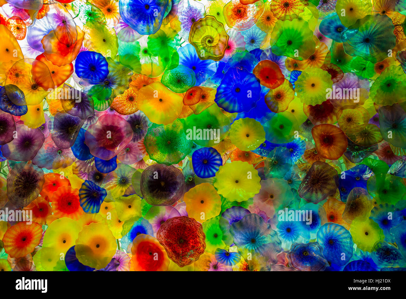 objects, flower, plant, flowers, illuminated, decoration, shiner, light ...