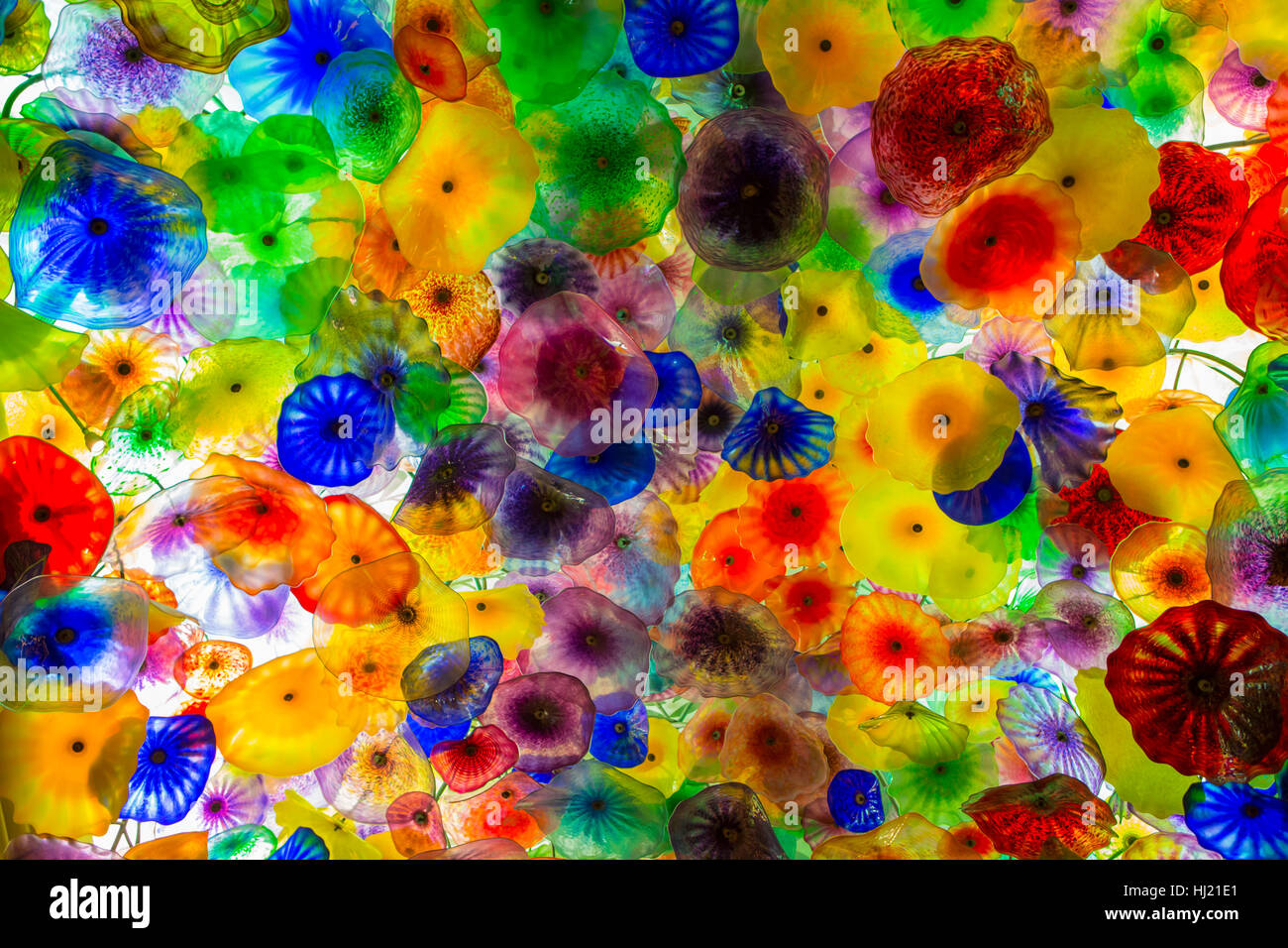 objects, flower, plant, flowers, illuminated, decoration, shiner, light ...