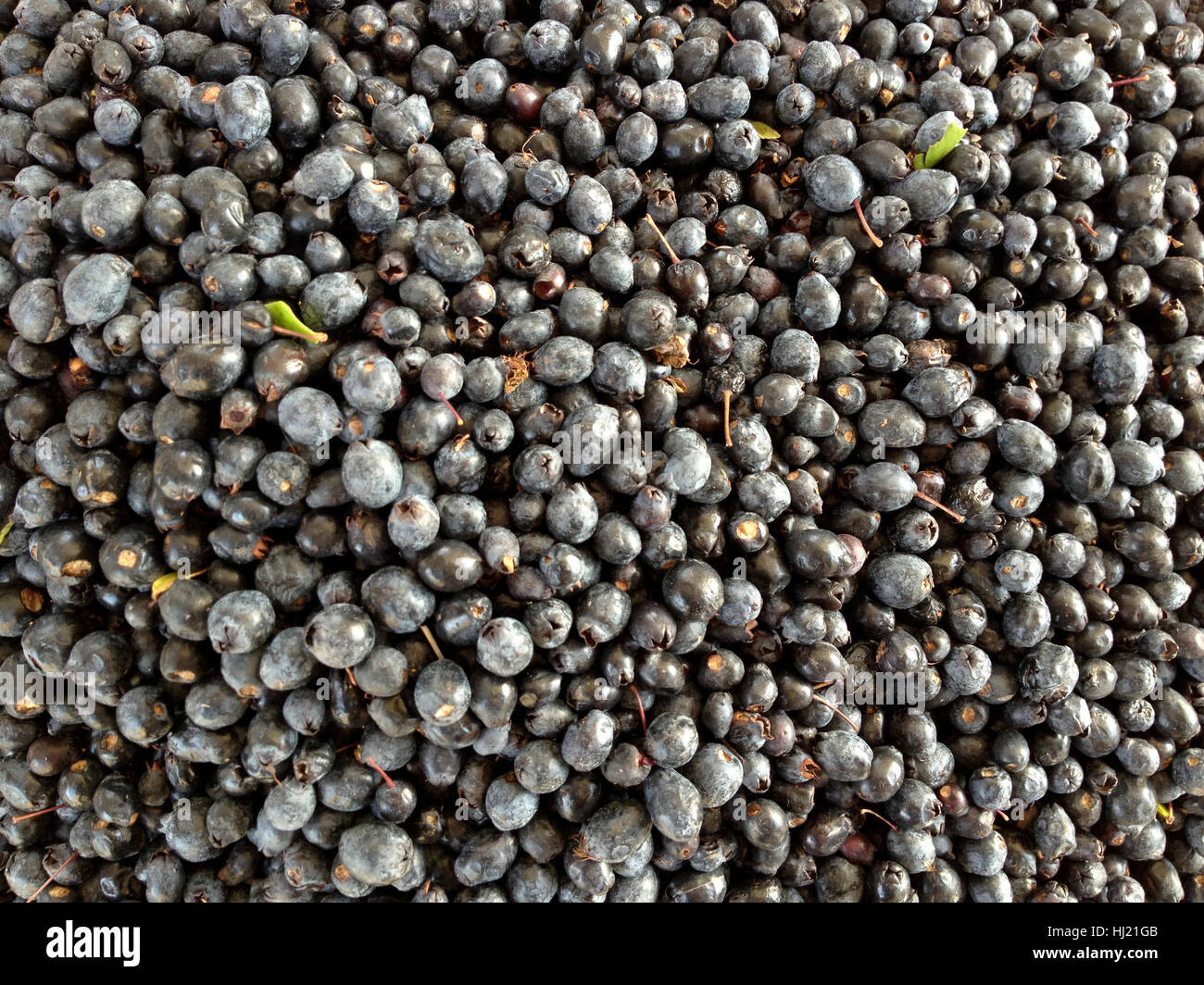 food, aliment, water, mediterranean, salt water, sea, ocean, gastronomy ...