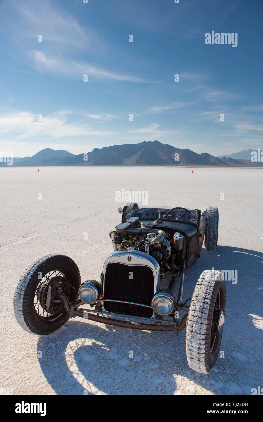 blue, humans, human beings, people, folk, persons, human, human being ...