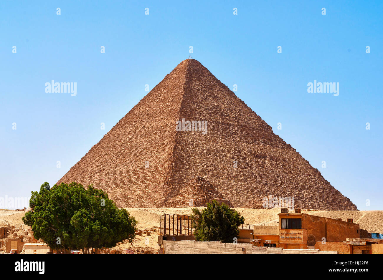 desert, wasteland, pyramid, cairo, egypt, wonder of the world, tree ...