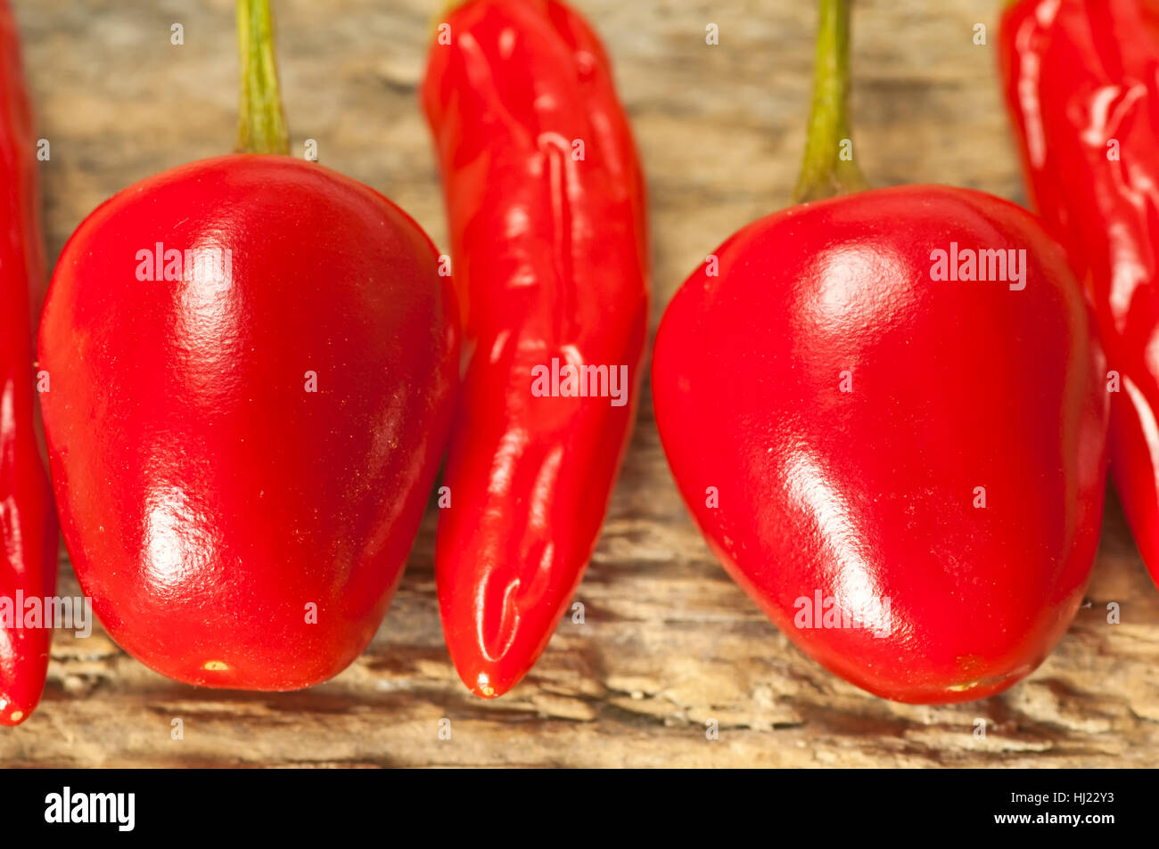macro, close-up, macro admission, close up view, long, shelf, chilli ...