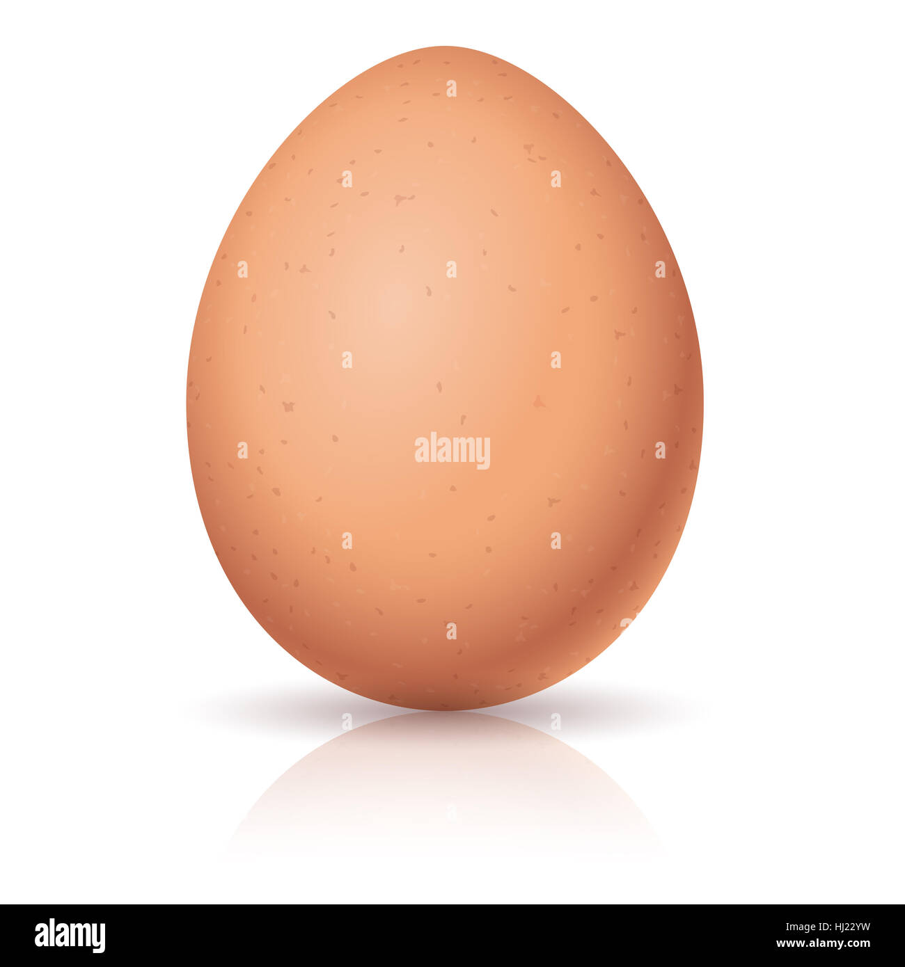 Realistic egg. Illustration on white background for design Stock Photo ...