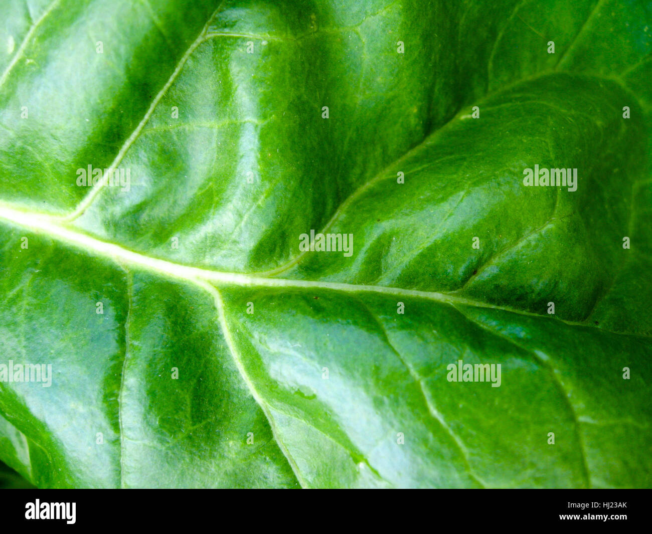 abstract, signboard, advertising, scenery, countryside, nature, lawn ...