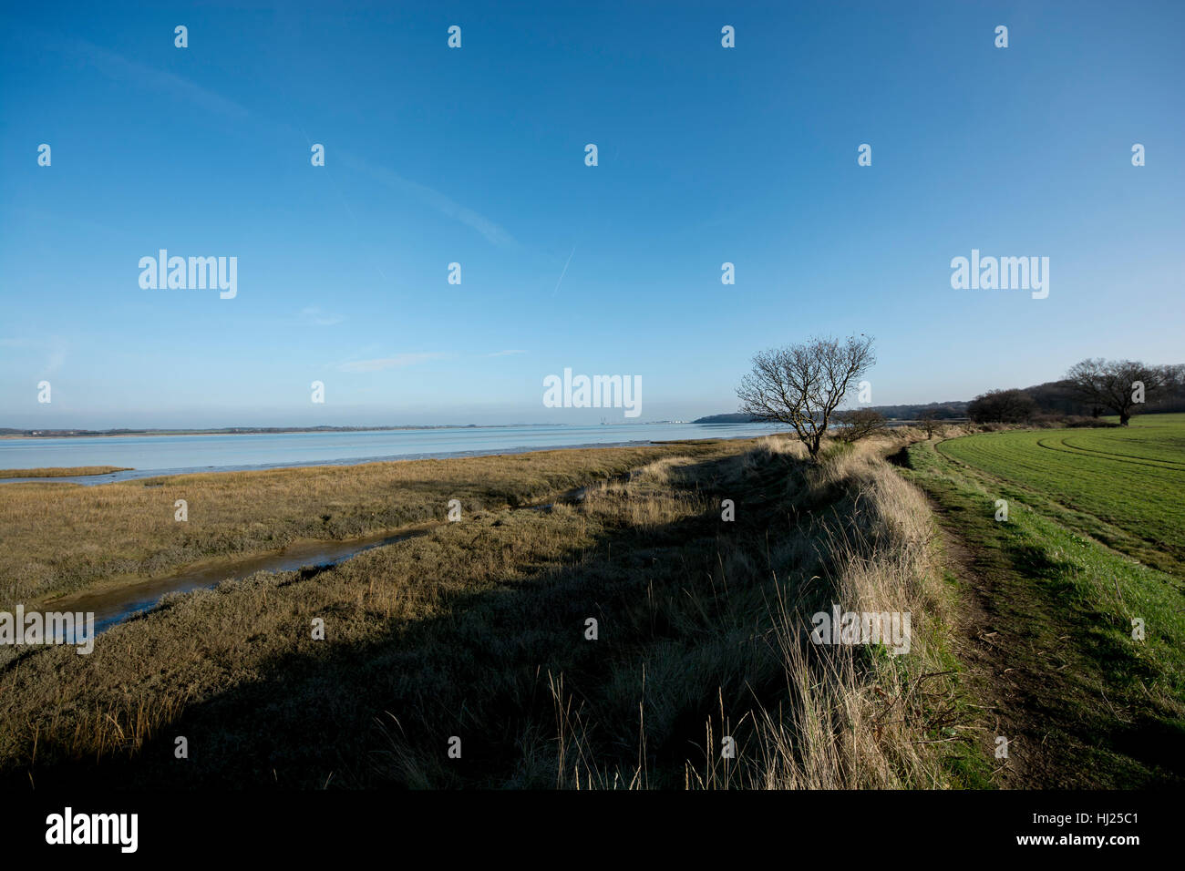 Essex way path River Stour Stock Photo - Alamy