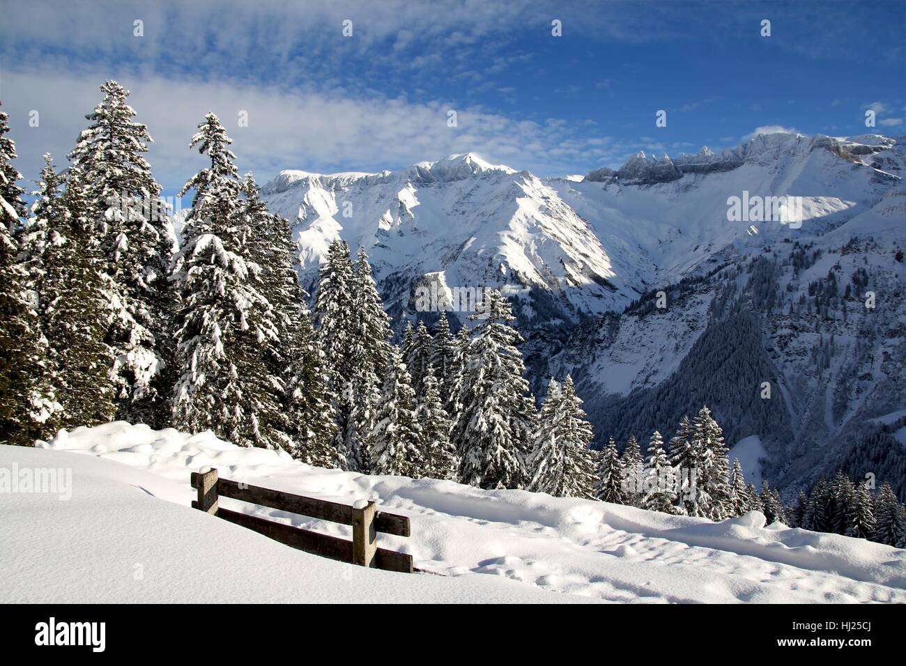 winter, alps, snowy, switzerland, firs, sight, view, outlook ...