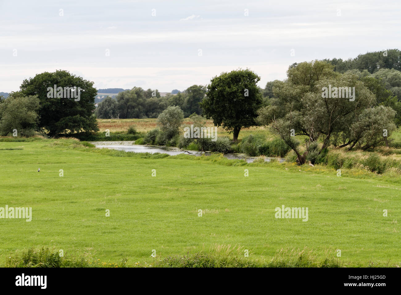 brandenburg, scenery, countryside, nature, river, water, or ...