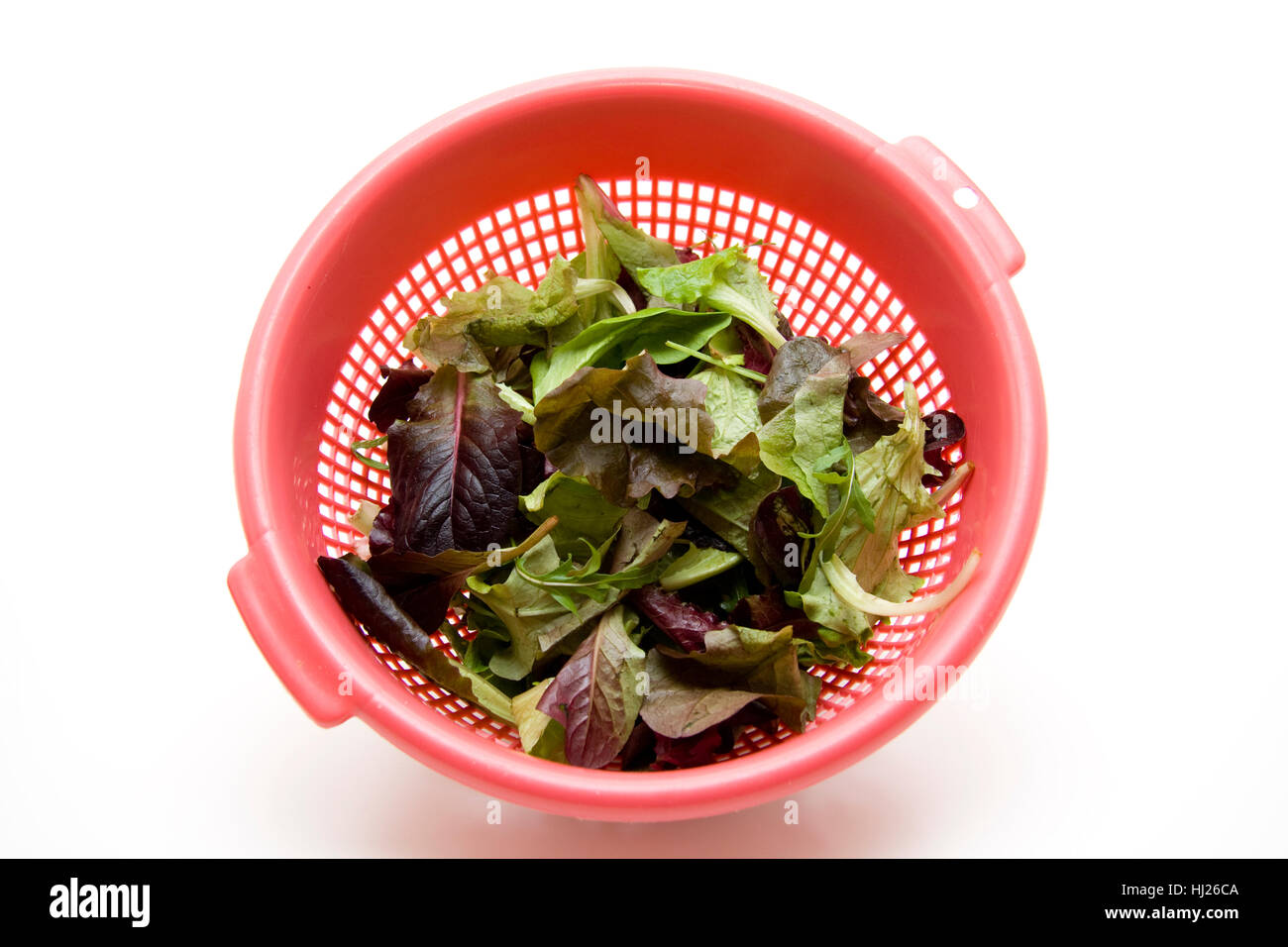 food, aliment, vegetable, plant, salad, food, aliment, vegetable, plant ...