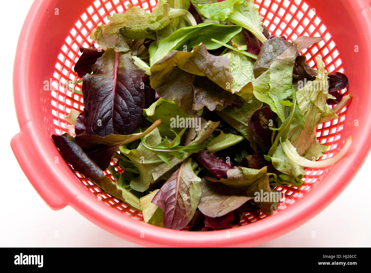 food, aliment, vegetable, plant, salad, food, aliment, vegetable, plant ...