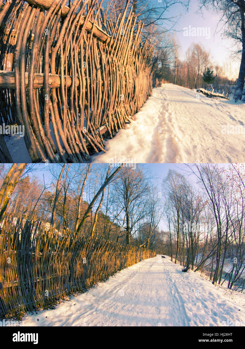fence in the forest winter. collage of two images Stock Photo - Alamy