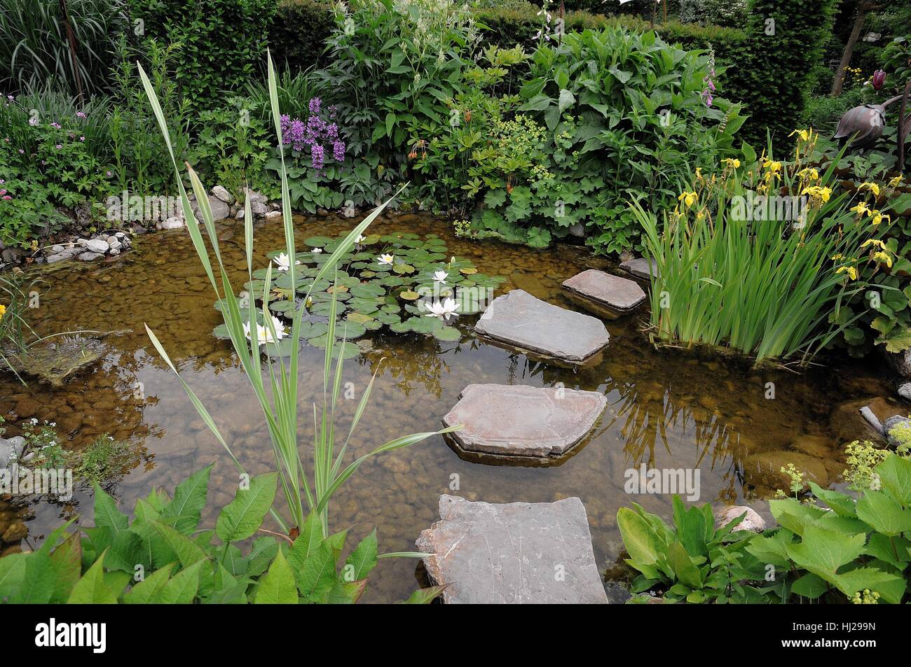 garden, plant, fresh water, pond, water, gardens, nature, tree, trees ...