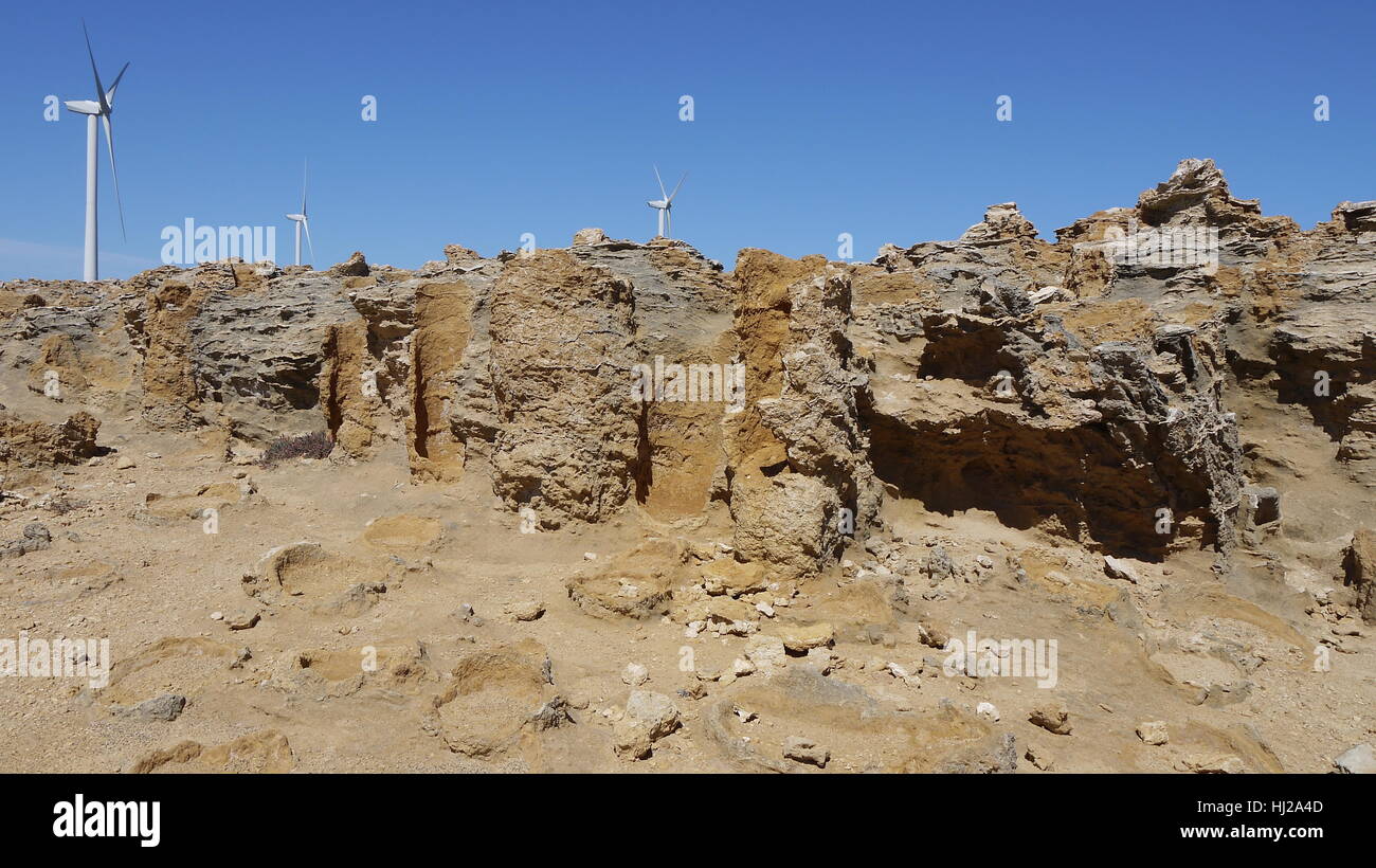 australia, fossil, oceania, travel, environment, enviroment, tree ...