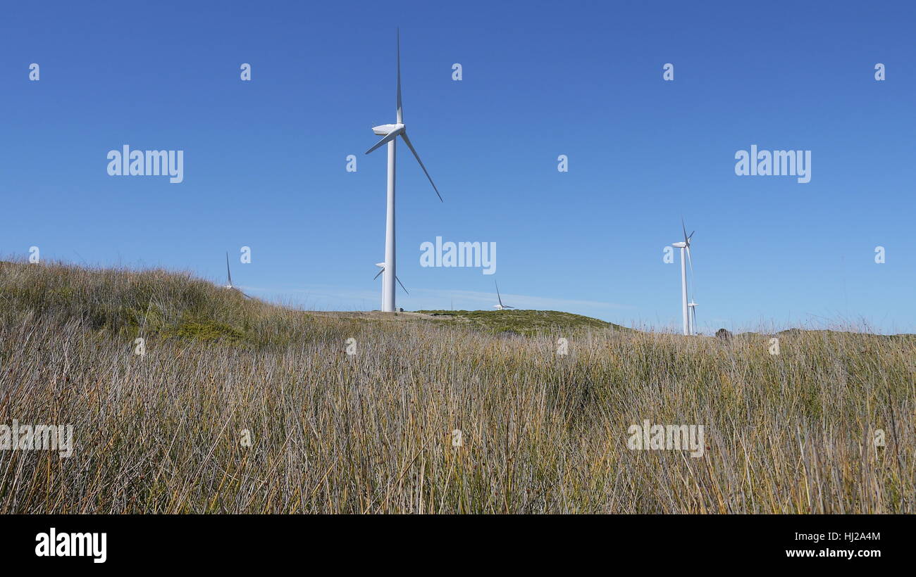 australian wind farm Stock Photo - Alamy