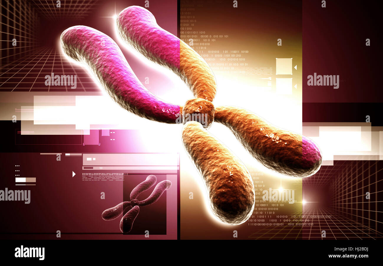 education, health, medicinally, medical, graphics, colour, science ...