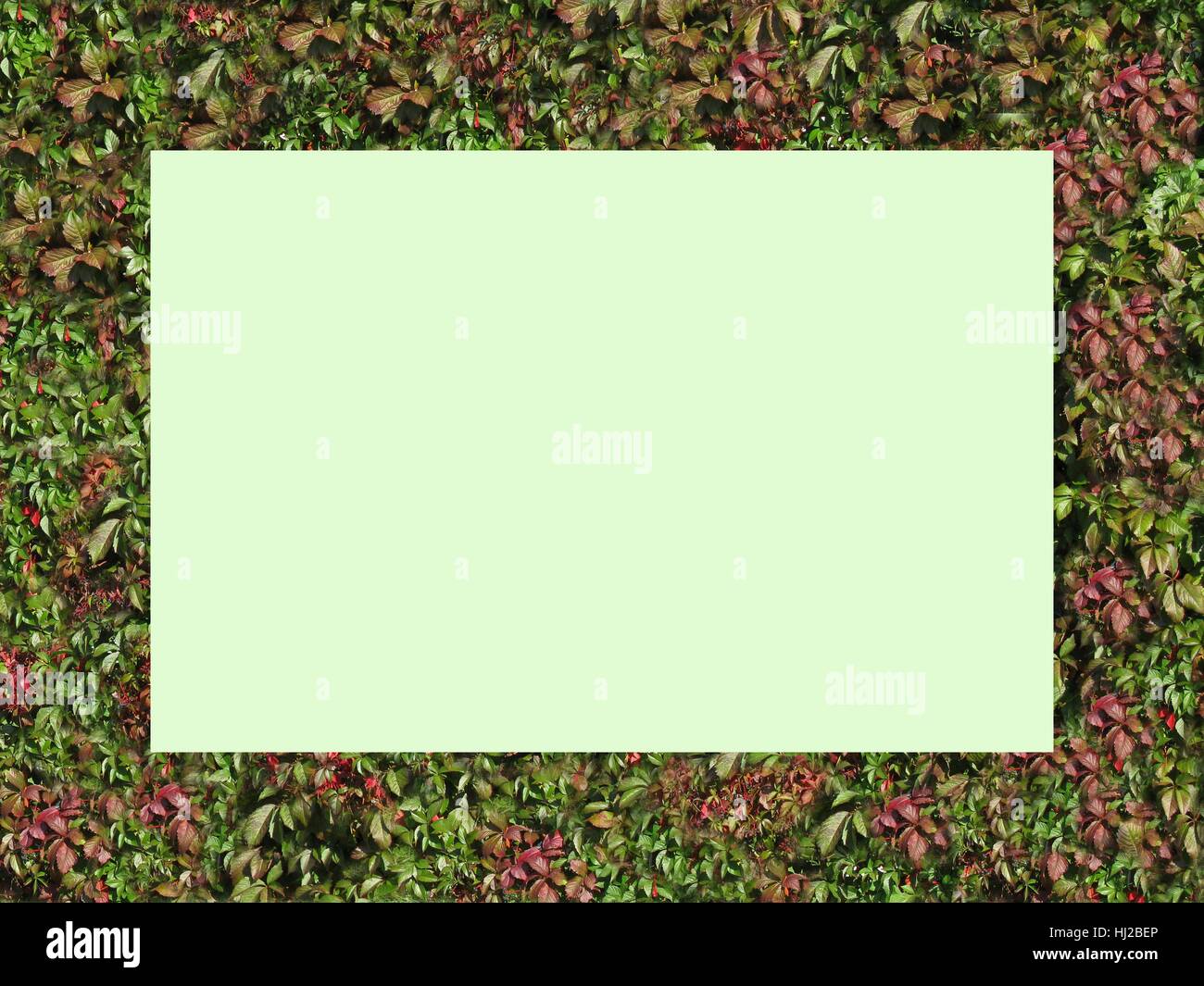 decor, decoration, card, postcard, picture frame, border, design ...