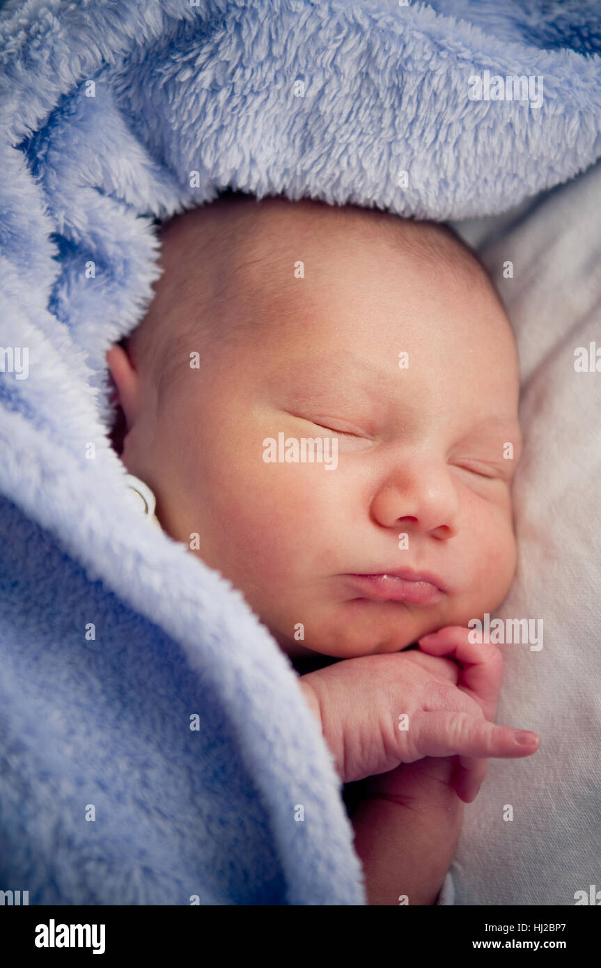 blue, humans, human beings, people, folk, persons, human, human being ...