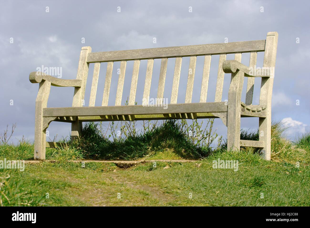 park, field, spring, bouncing, bounces, hop, skipping, frisks, jumping ...