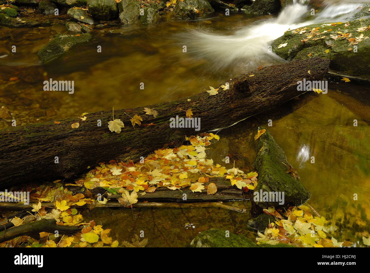 national park, stream, fall, autumn, coloured, colourful, gorgeous ...