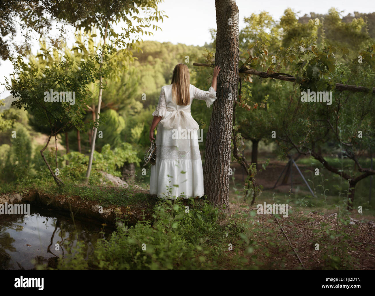 White princess wandering the woods Stock Photo - Alamy