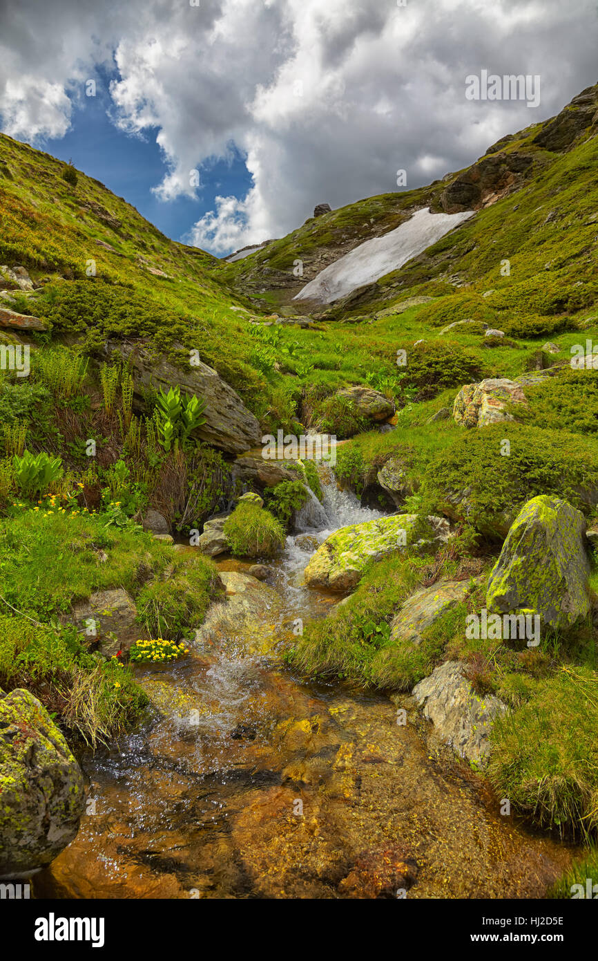 environment, enviroment, colour, flow, greece, summer, summerly, europe ...