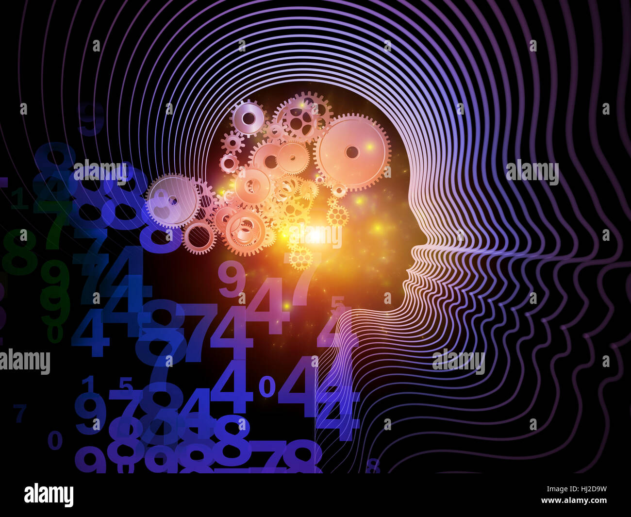 profile, calculation, arrangement, composition, model, design, project ...
