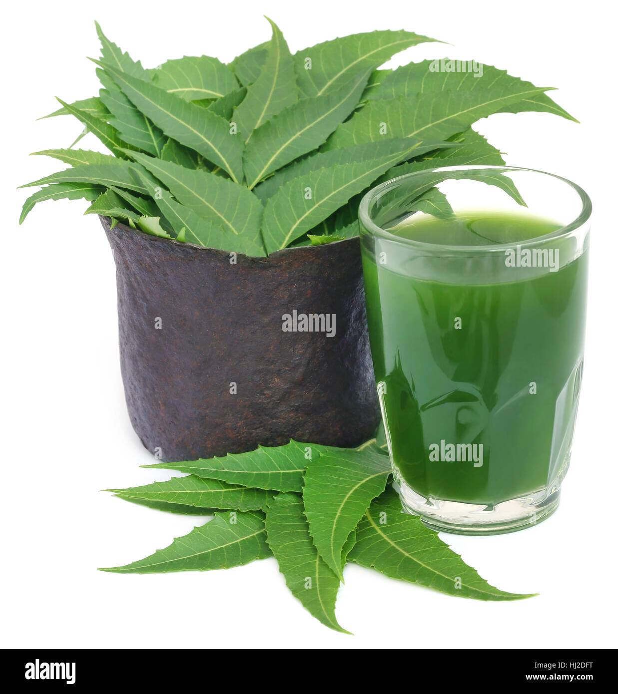 Neem leaves green hi-res stock photography and images - Alamy