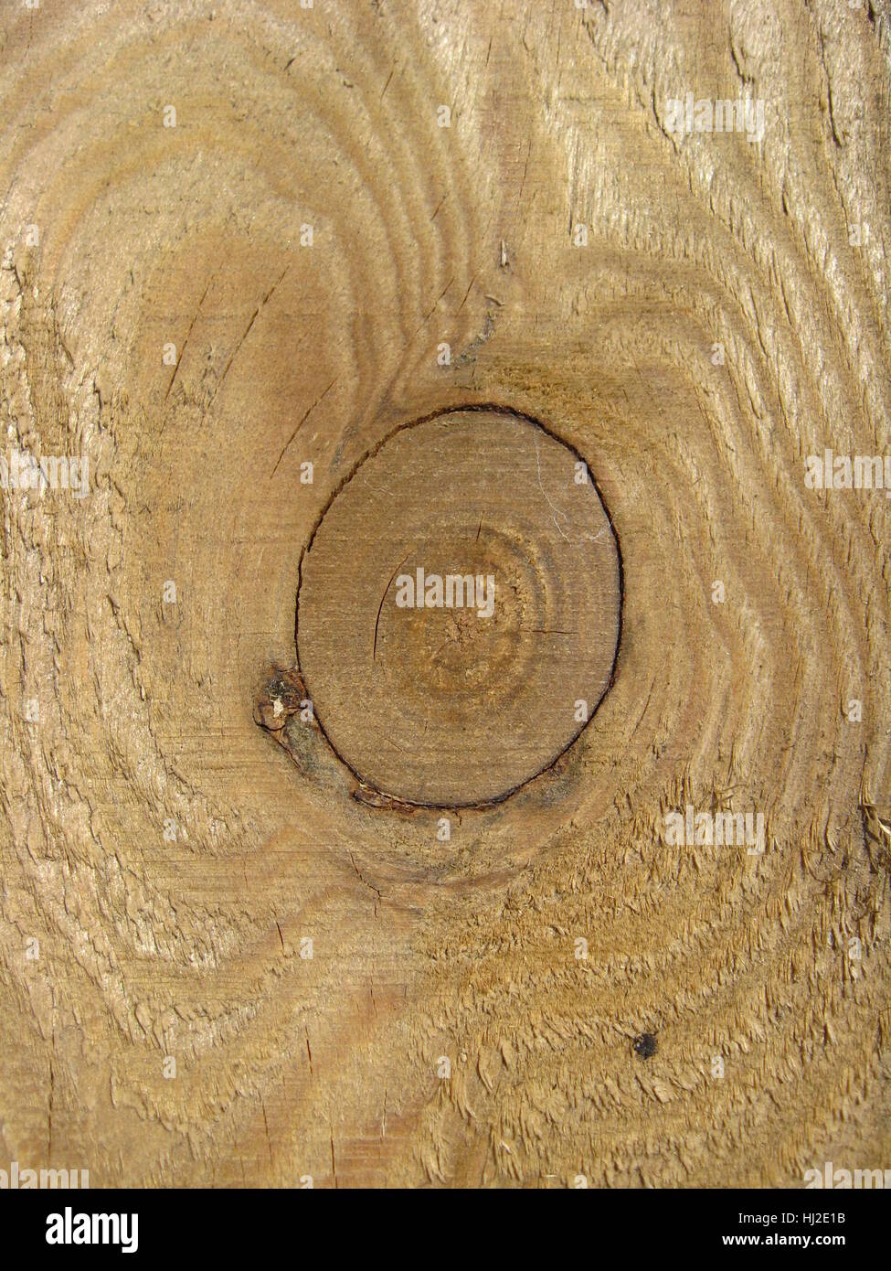 tree, wood, cut, pattern, wooden, photo, picture, image, copy ...