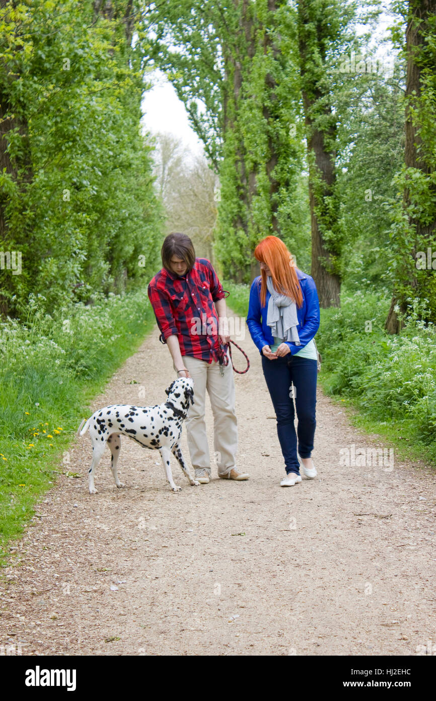 woman, humans, human beings, people, folk, persons, human, human being ...