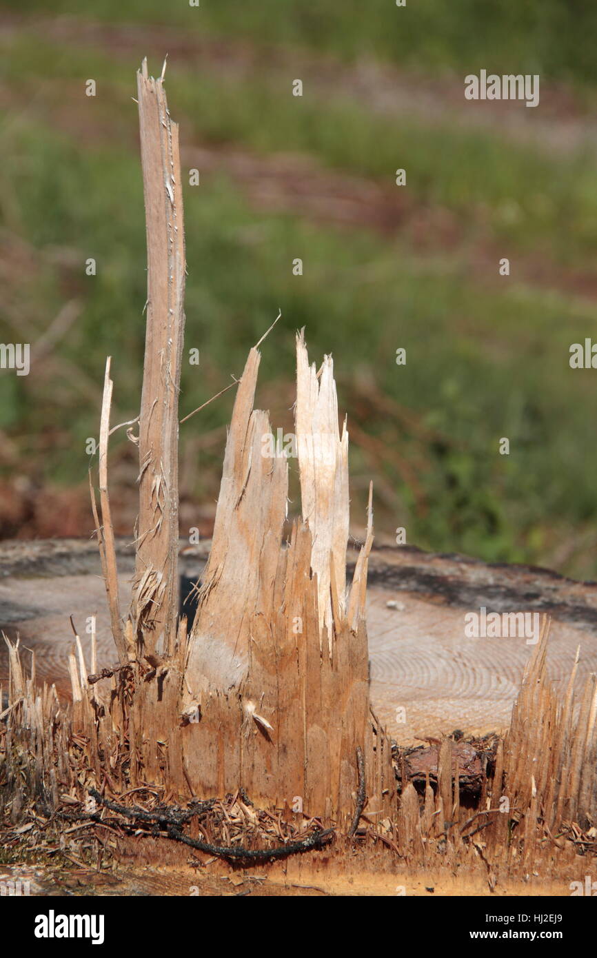 Fracture location hi-res stock photography and images - Alamy