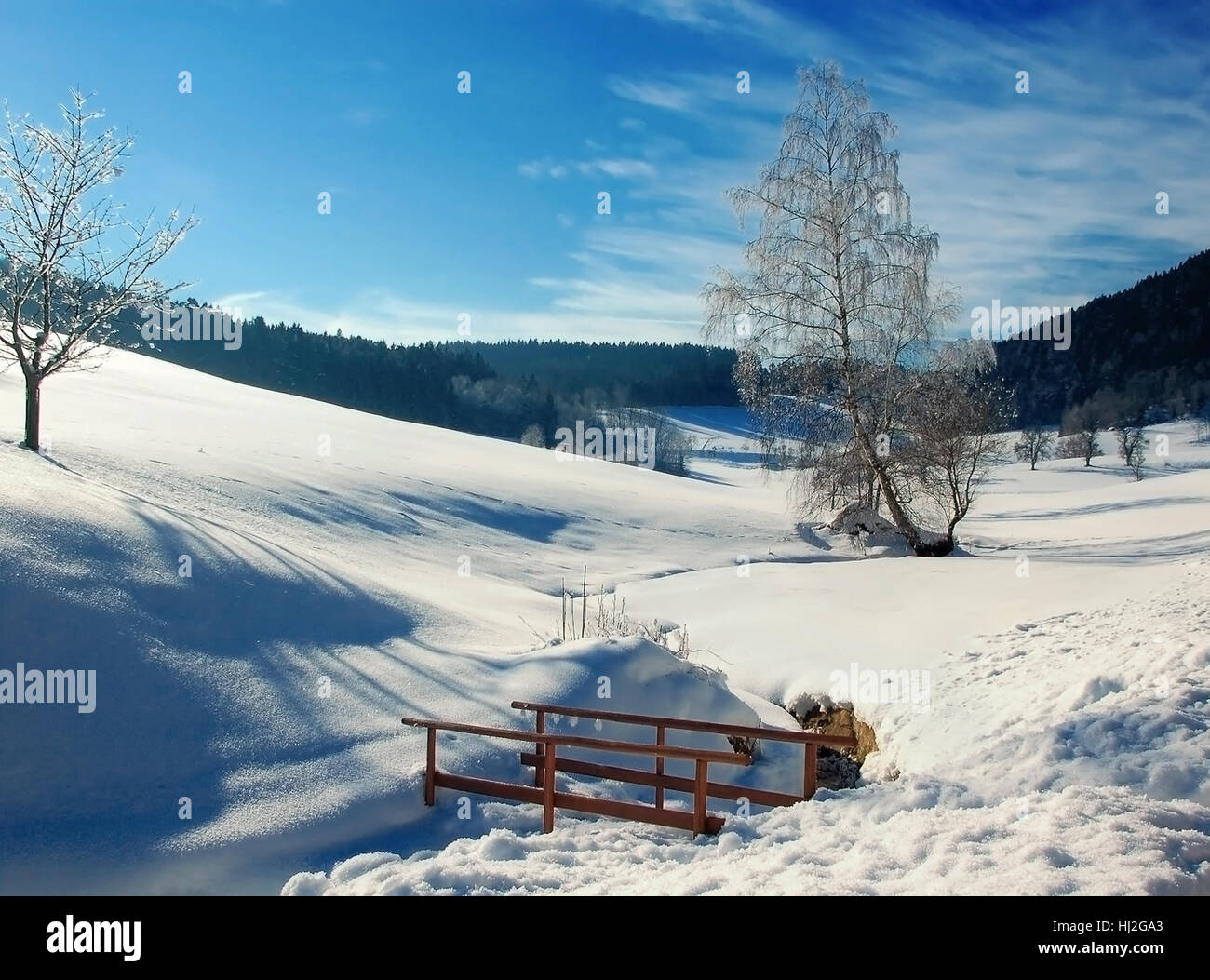 blue, beautiful, beauteously, nice, environment, enviroment, tree ...
