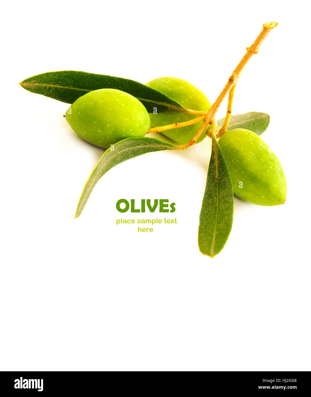 isolated, water, mediterranean, salt water, sea, ocean, branch, olives ...