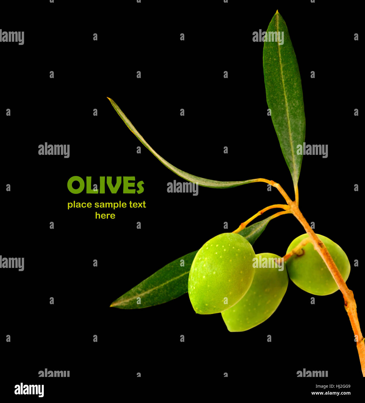isolated, water, mediterranean, salt water, sea, ocean, branch, olives ...