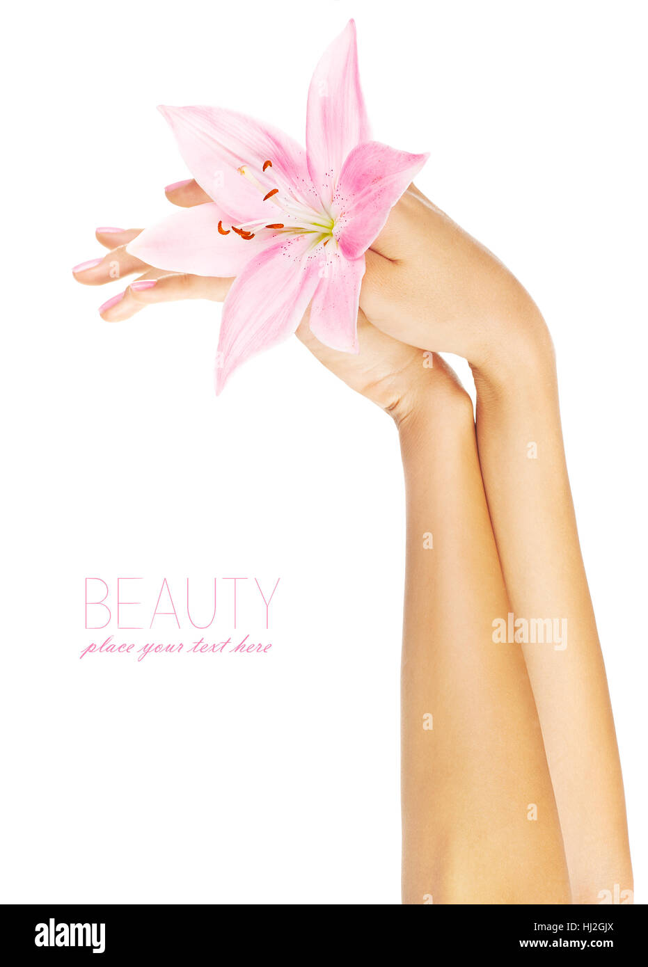 hand, hands, model, design, project, concept, plan, draft, female ...