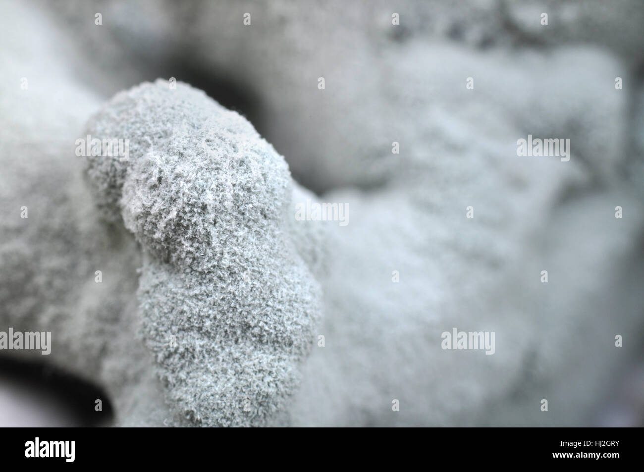 Rotten food rot mold hi-res stock photography and images - Alamy