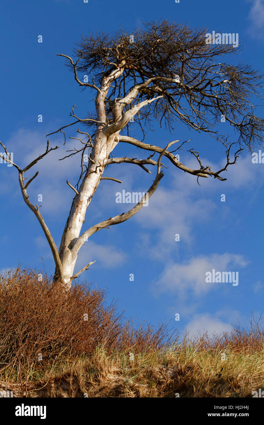 water, baltic sea, salt water, sea, ocean, scenery, countryside, nature ...