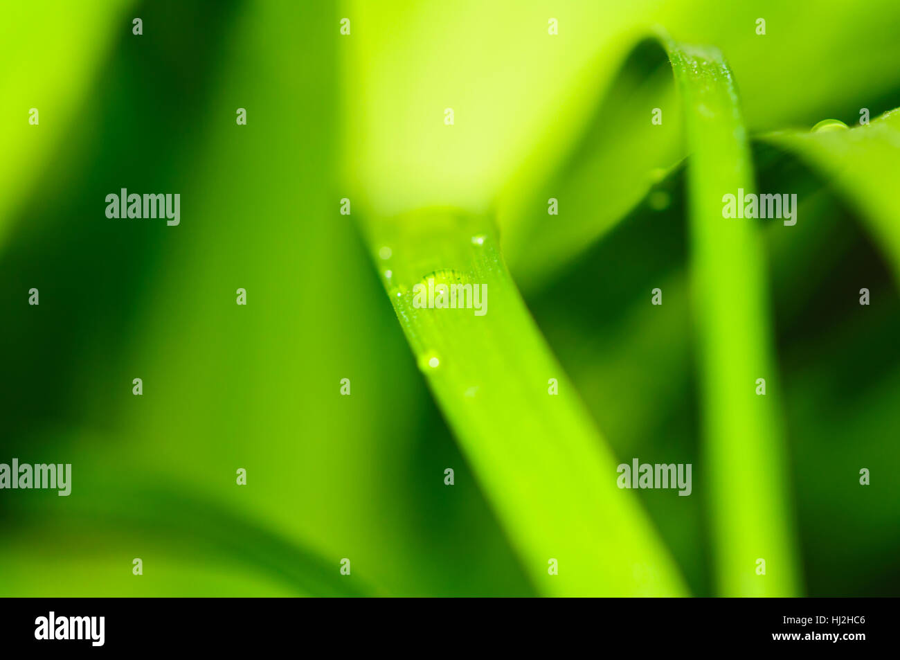 detail, eco, environment, enviroment, model, design, project, concept ...