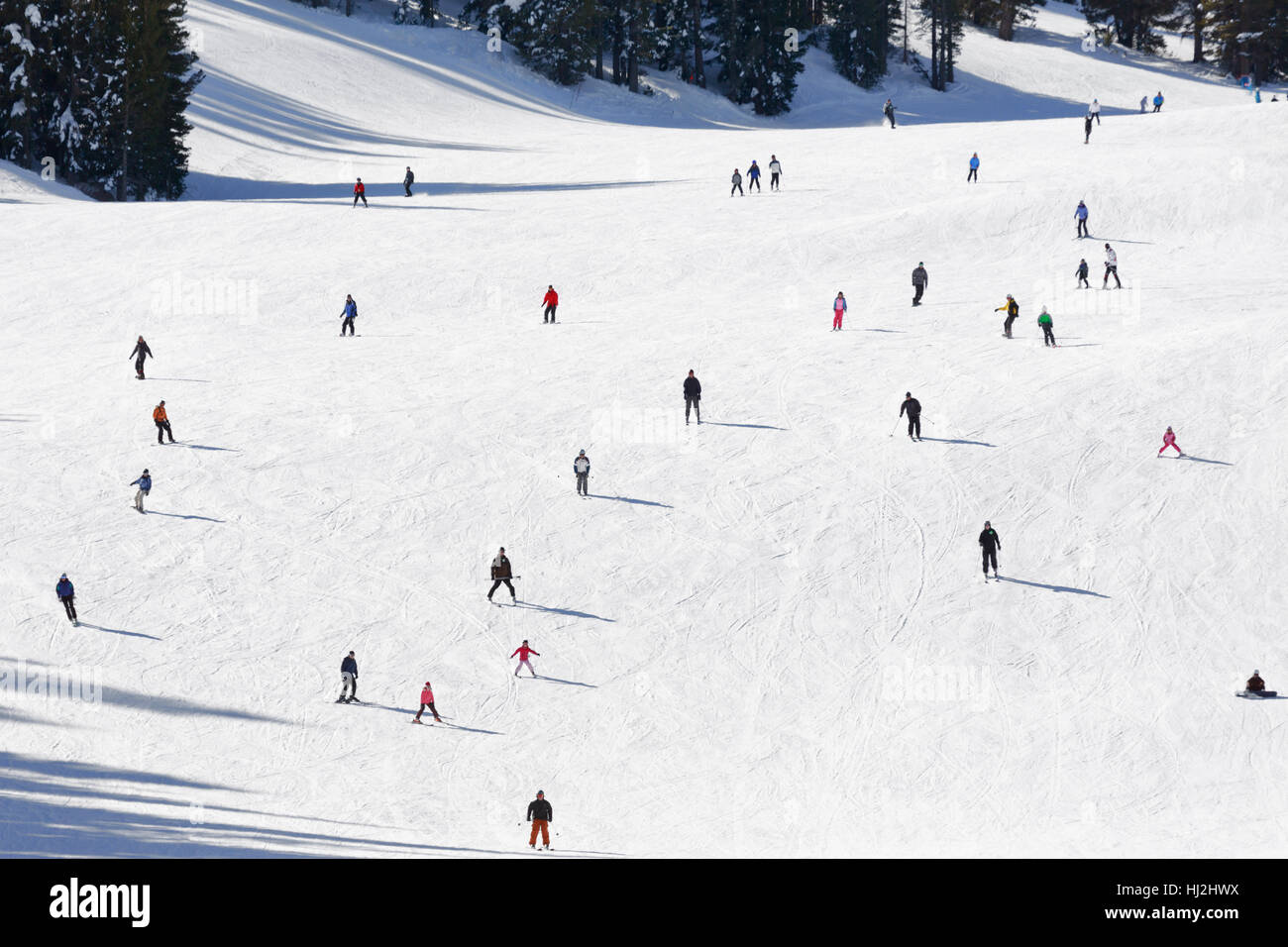 humans, human beings, people, folk, persons, human, human being, sport ...