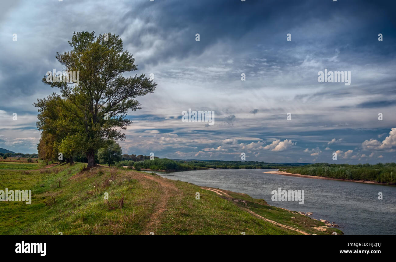 Bank under trees hi-res stock photography and images - Alamy