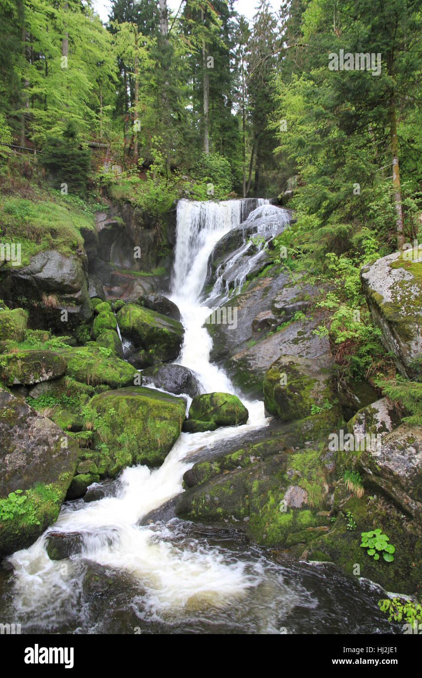 tree, flow, stream, waterfall, ceramic tiles, black forest, germany ...