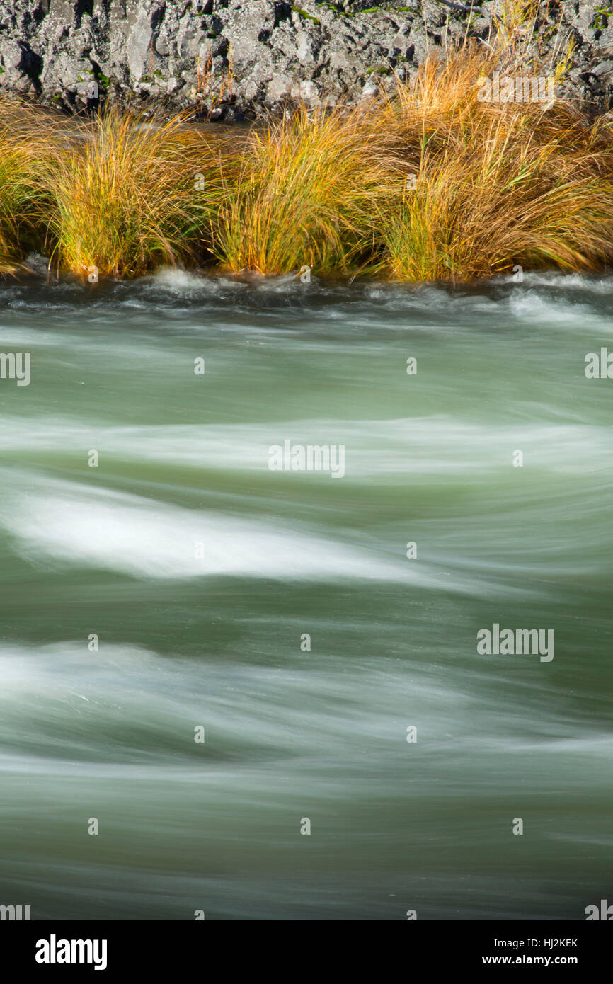 Bunchgrass along Deschutes Wild & Scenic River, Lower Deschutes River ...
