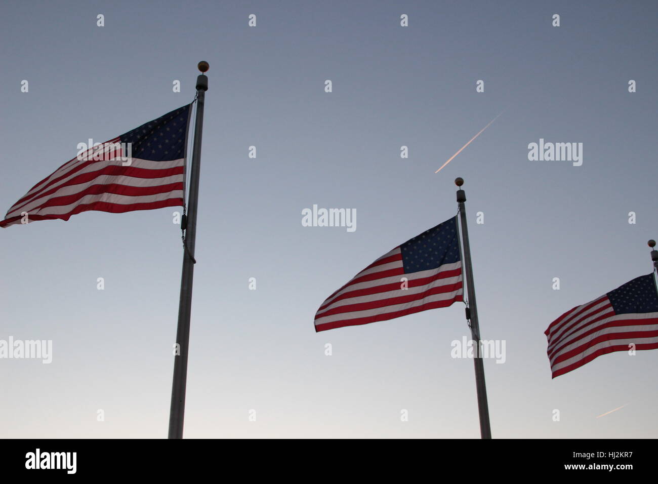American flags by the Washington Monument in Washington D.C, USA Stock ...