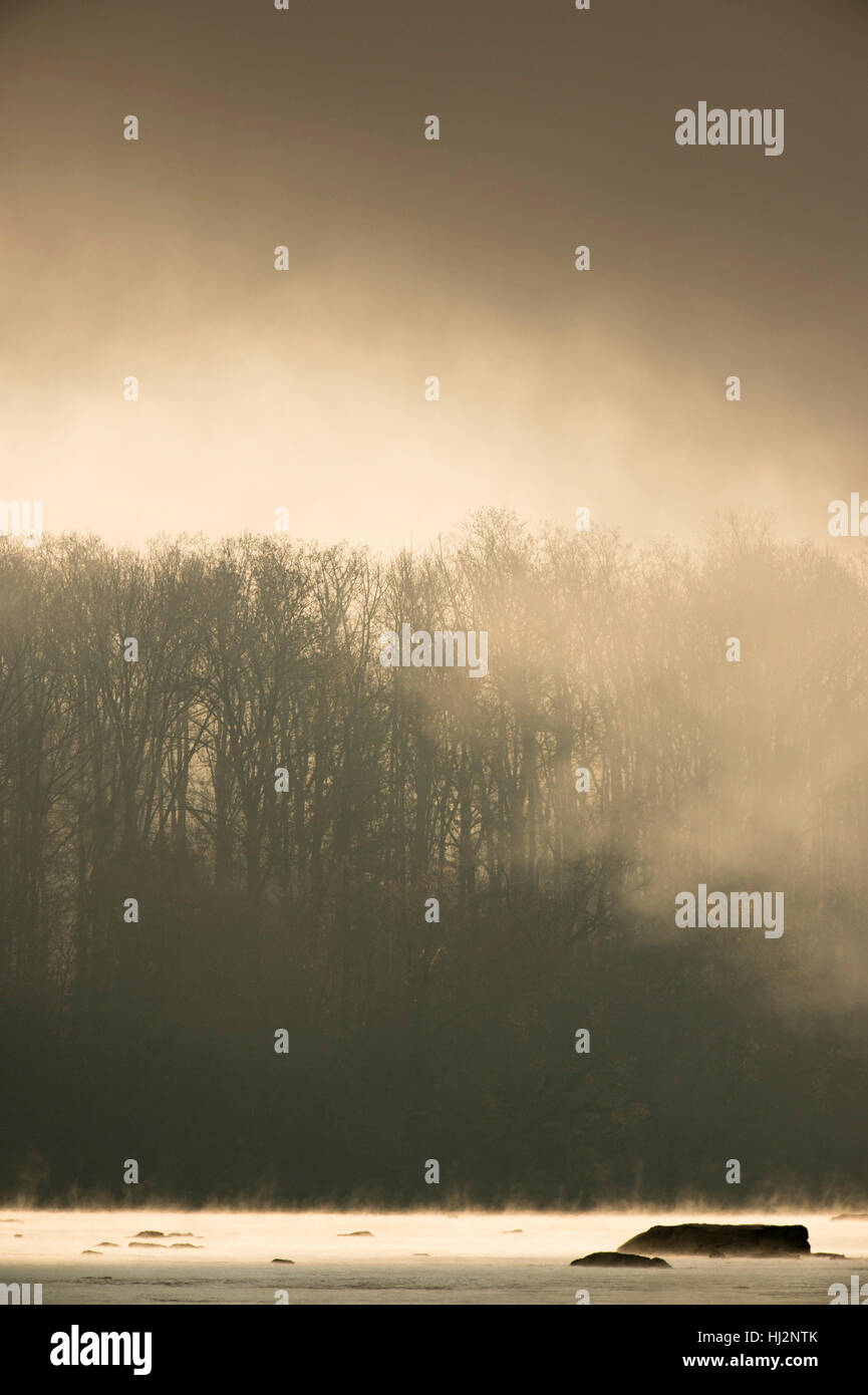 The fog is lit up by the morning sun over a river with trees Stock ...
