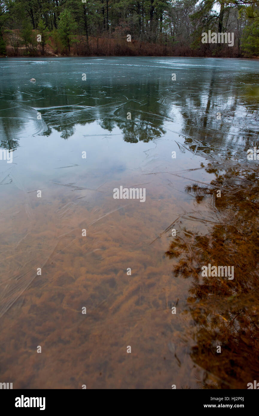 A small winter pond is covered in blue ice with the reflections of ...