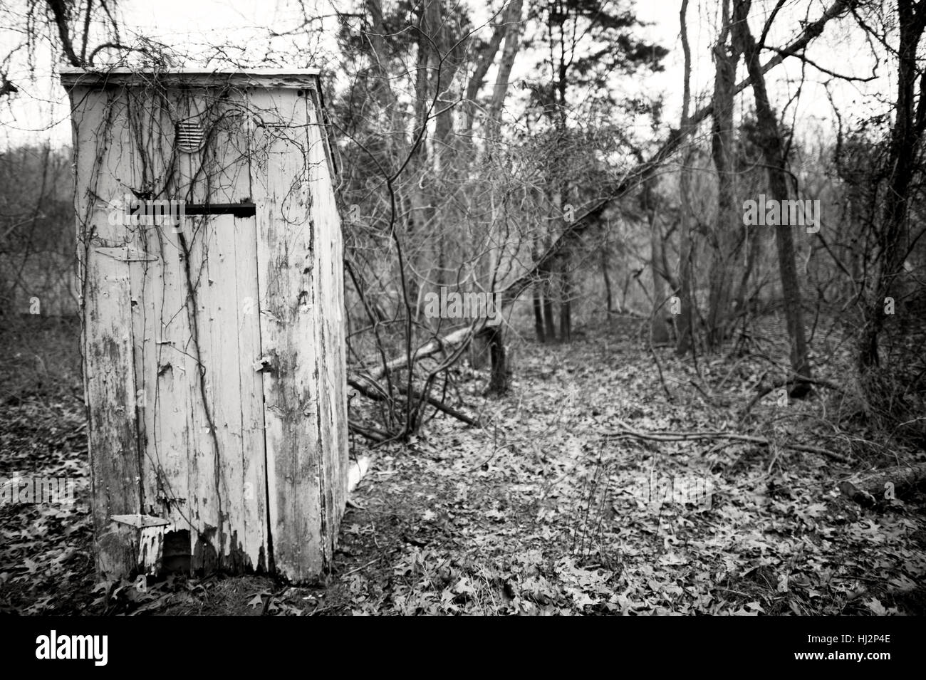 An old abandoned outhouse is falling apart in the woods Stock Photo - Alamy