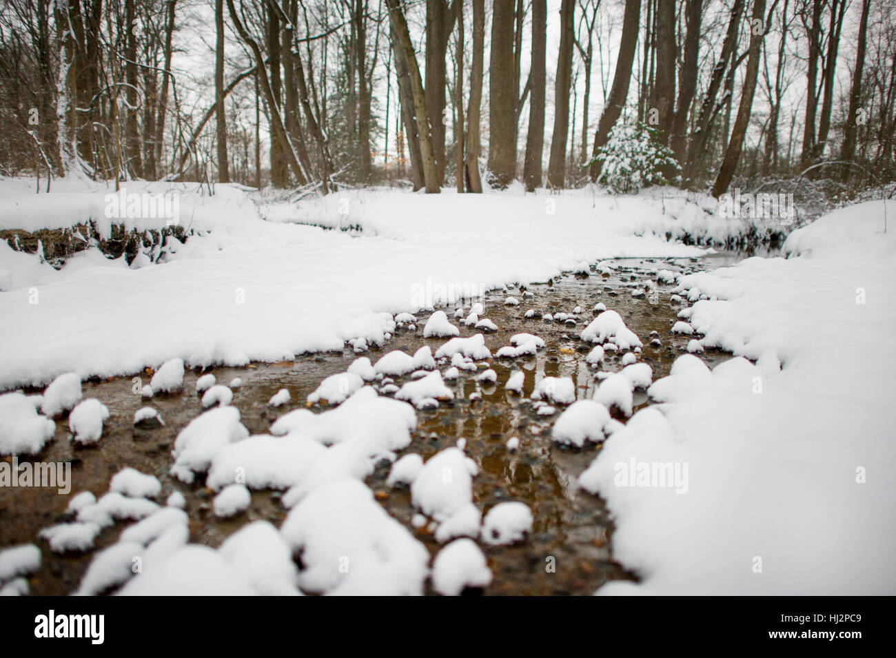 Fresh snow on fallen trees hi-res stock photography and images - Alamy