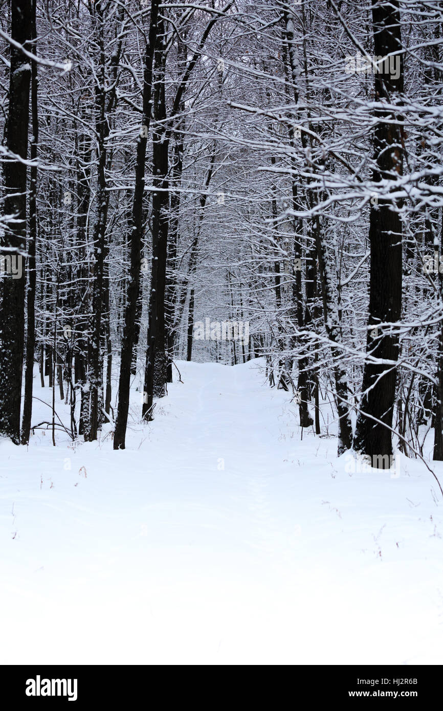 Logging snow hi-res stock photography and images - Alamy