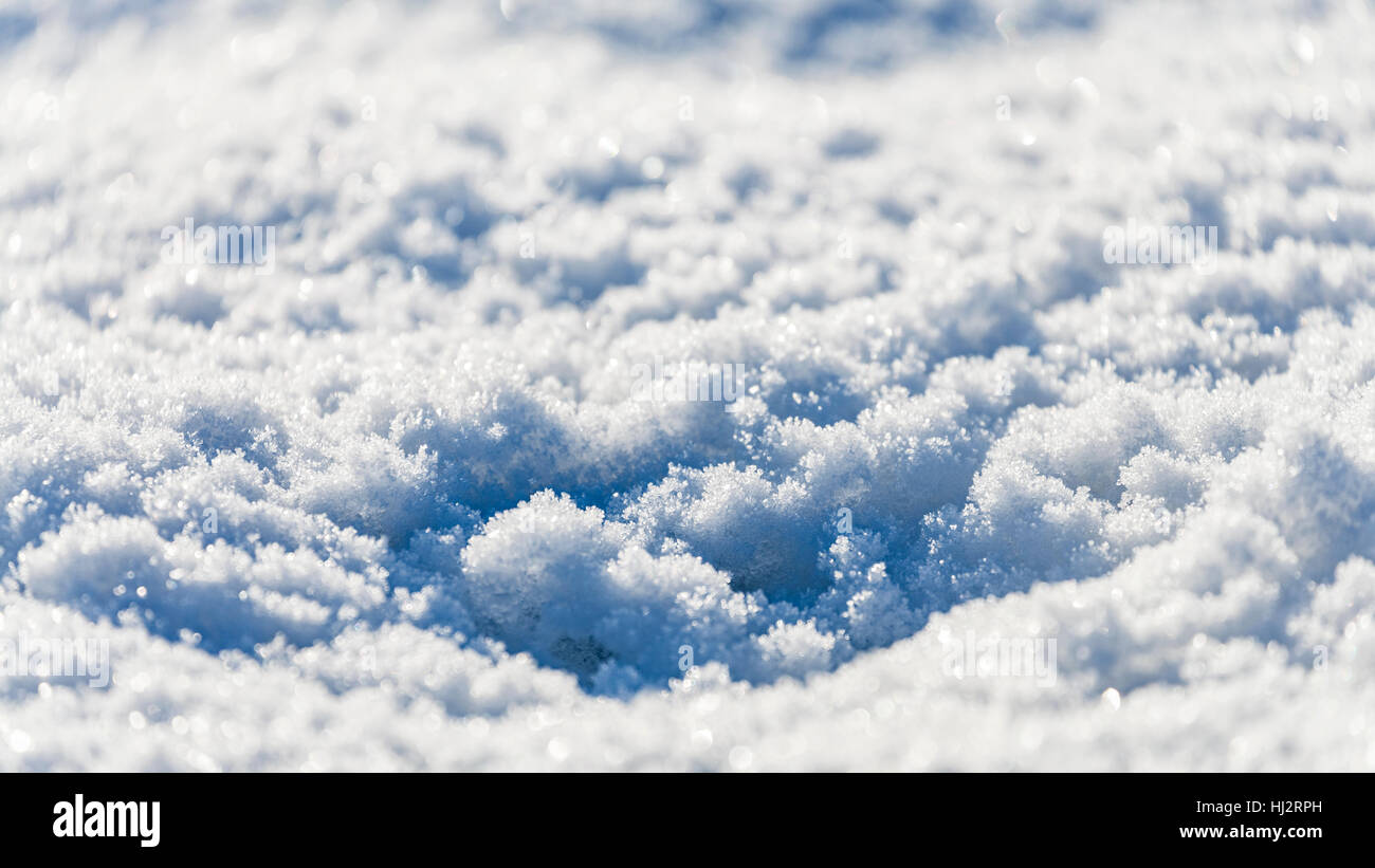 Nordic ground cover hi-res stock photography and images - Alamy