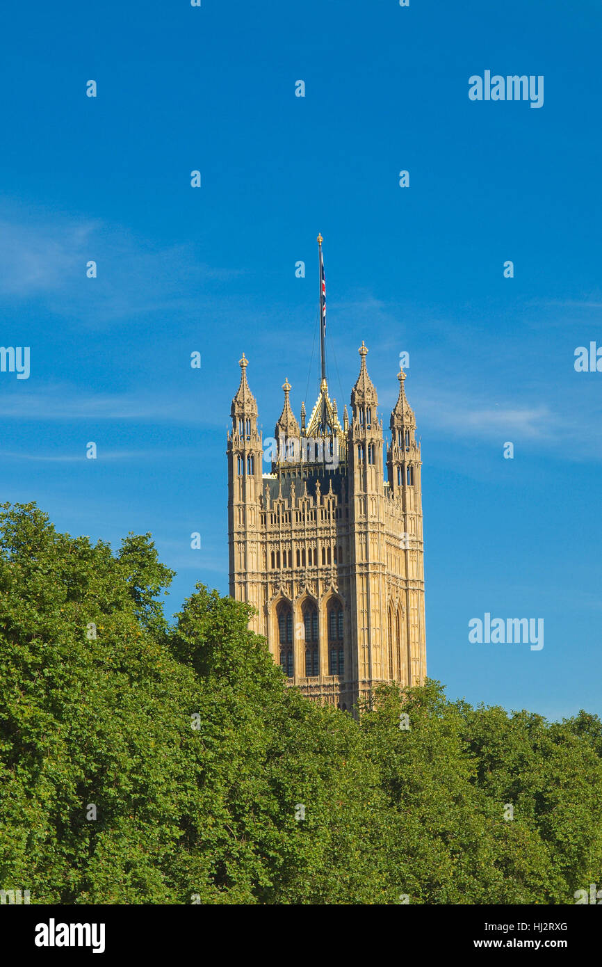 big, large, enormous, extreme, powerful, imposing, immense, relevant ...