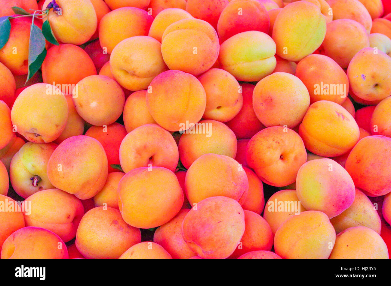 food, aliment, kitchen, cuisine, diet, back, apricot, eating, eat, eats ...